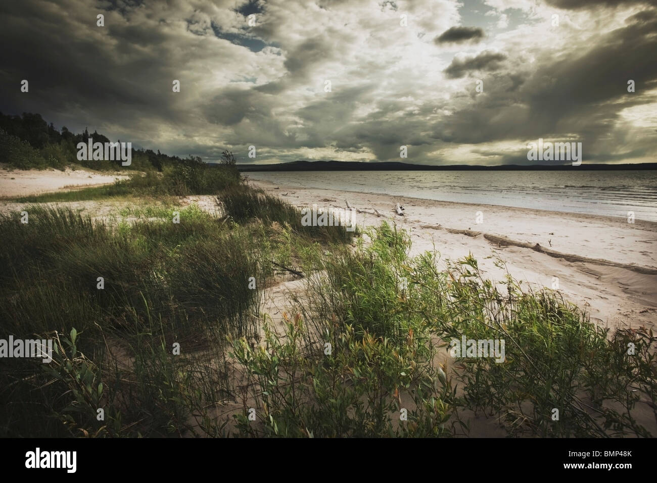 Alberta, Canada; Shoreline Of Slave Lake Stock Photo - Alamy