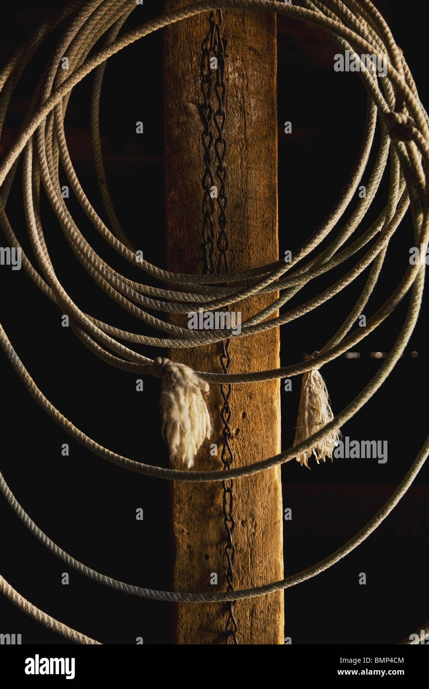 Alberta, Canada; A Lasso Hanging In A Barn Stock Photo - Alamy