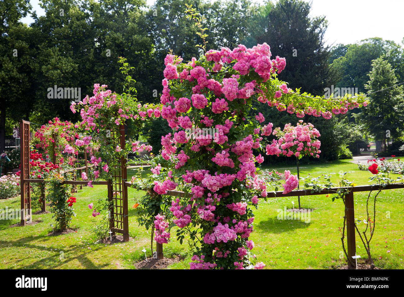 Parc de la Pépinière - Nancy Stock Photo - Alamy