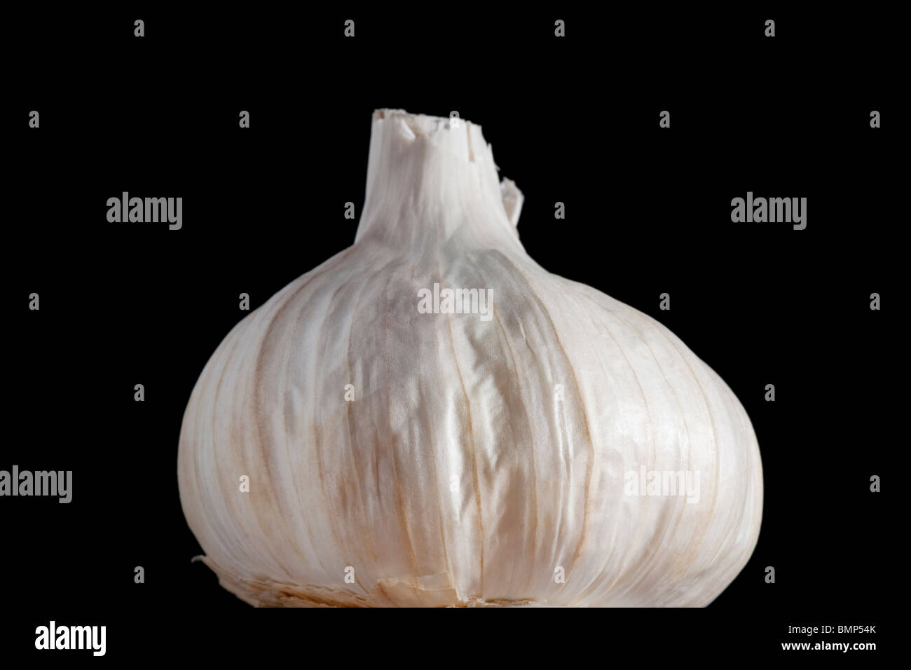Garlic bulb in close up Stock Photo - Alamy