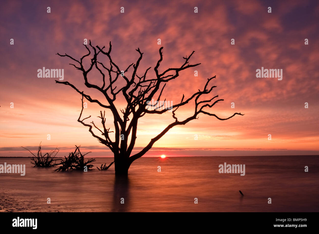 Botany bay beach edisto island south carolina hi-res stock photography ...