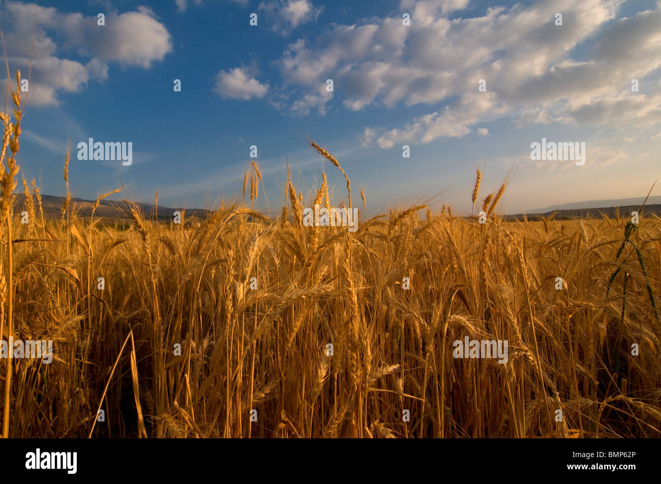 Peace scenic area hi-res stock photography and images - Alamy