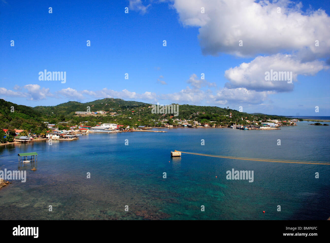Downtown ; Coral in water ; Roatan island ; Country Honduras Stock ...