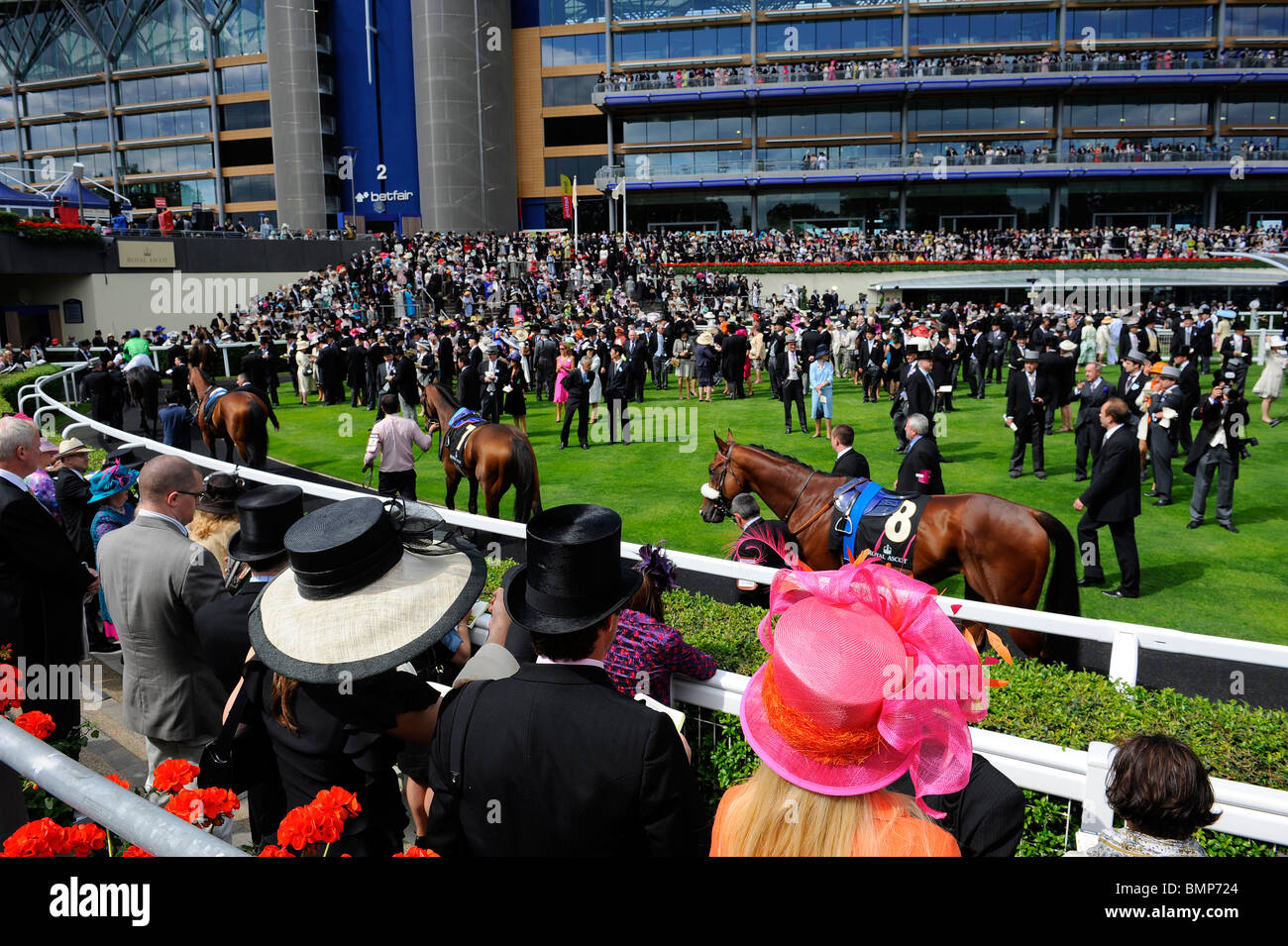 Sport racing ascot hi-res stock photography and images - Alamy