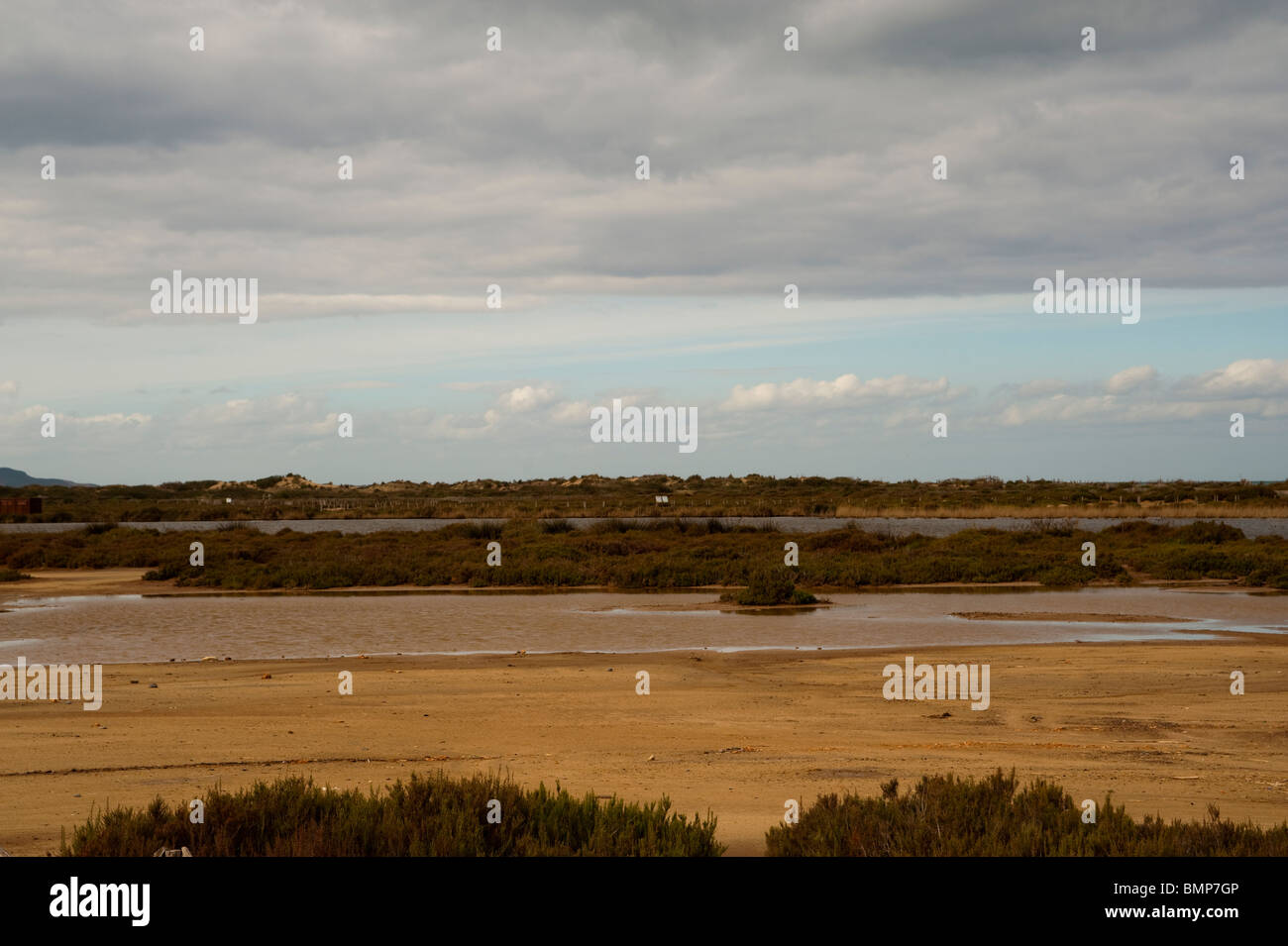Moulouya river natural reserve, close to the resorts, Saidia, Oriental ...