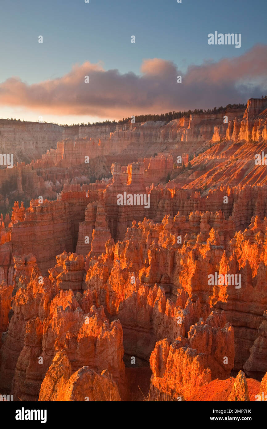Sunrise at Bryce Amphitheater views from Sunset Point at Bryce Canyon ...