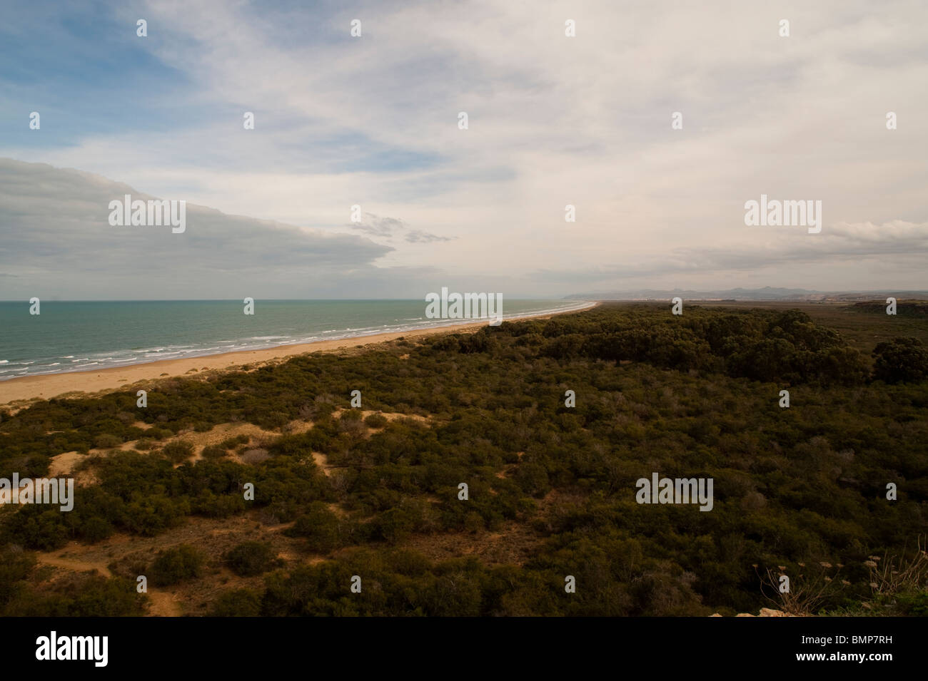 Moulouya river natural reserve hi-res stock photography and images - Alamy