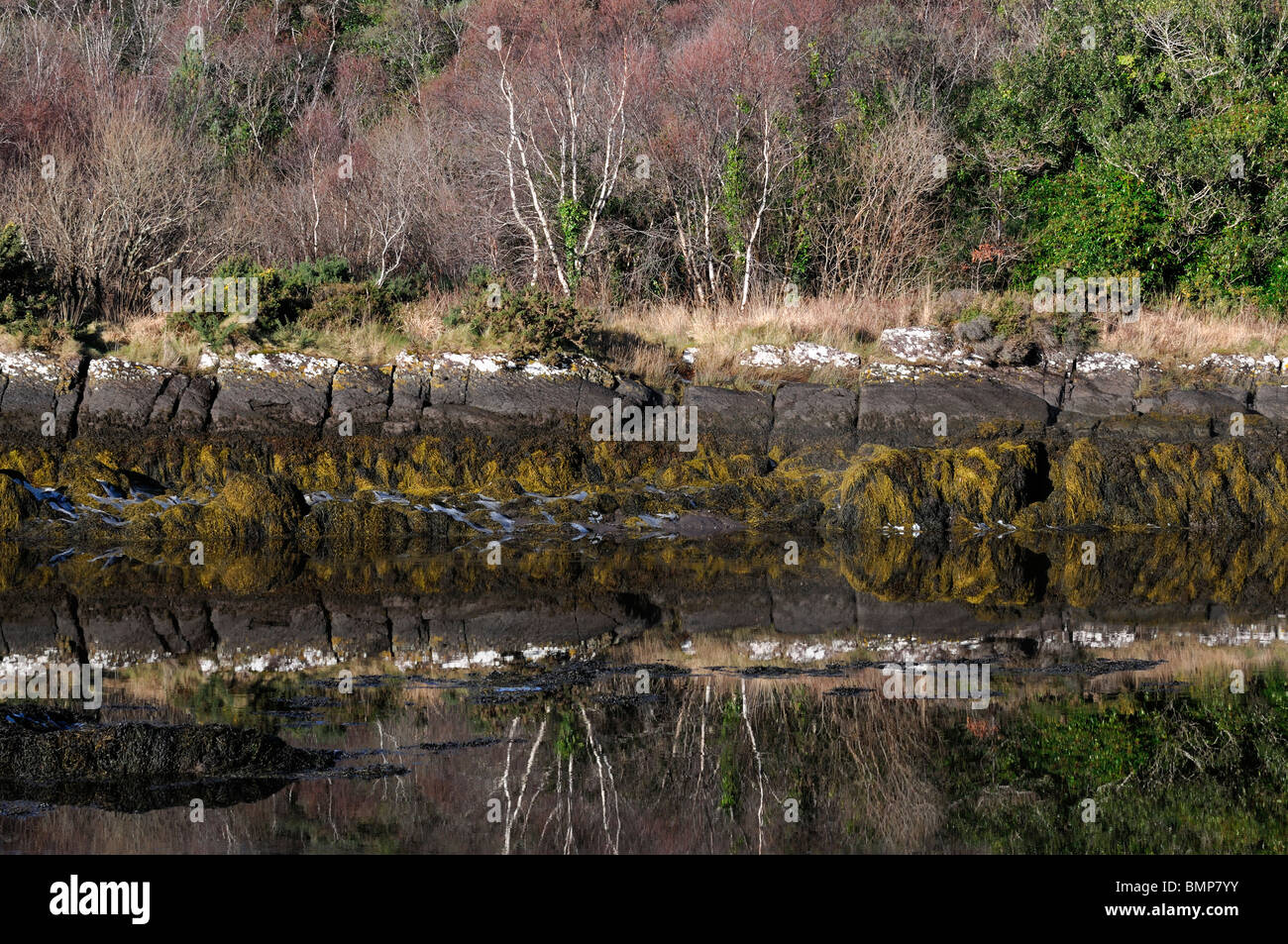 tidal mouth of the roughty river or kenmare river lough bay at ...