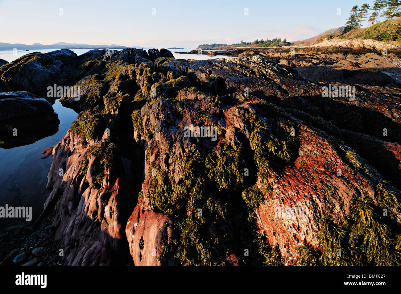 Roughty River High Resolution Stock Photography and Images - Alamy