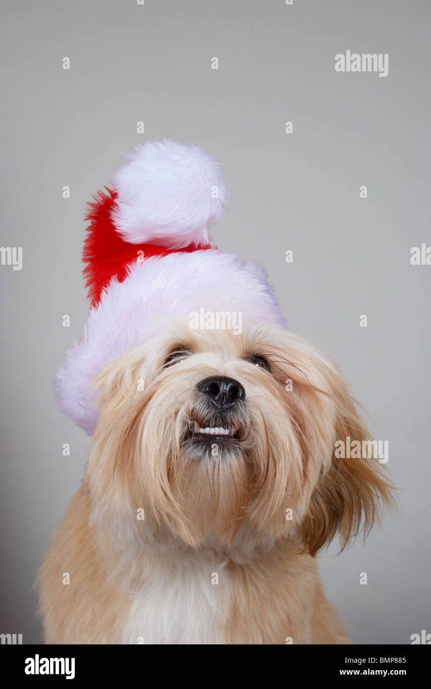 Lopsided face hi-res stock photography and images - Alamy