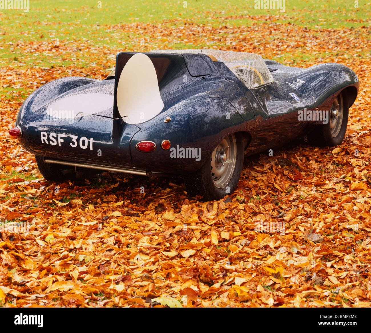 Jaguar D Type (long nose D type) this car is the last D type to be made ...