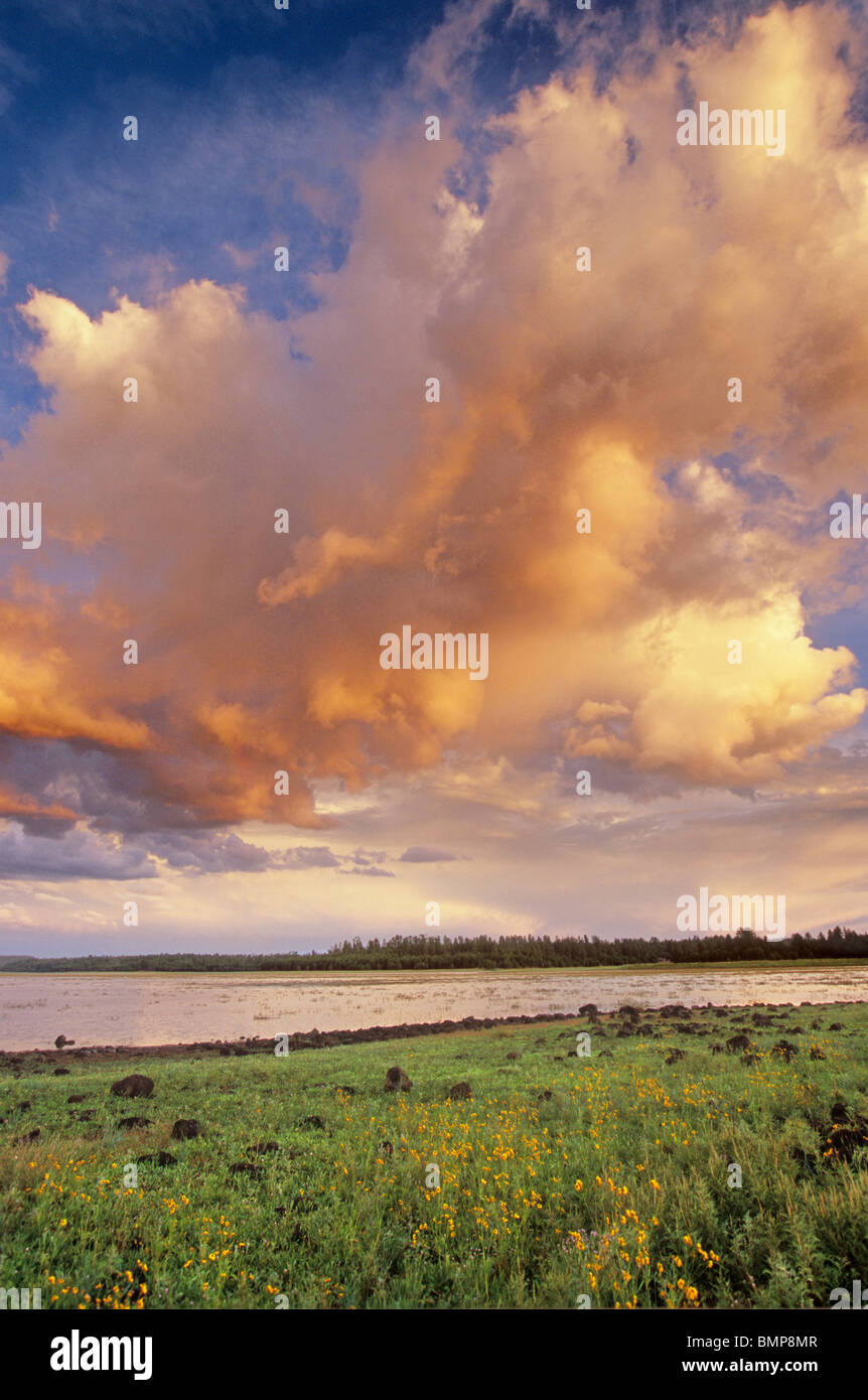 Lower lake mary hi-res stock photography and images - Alamy