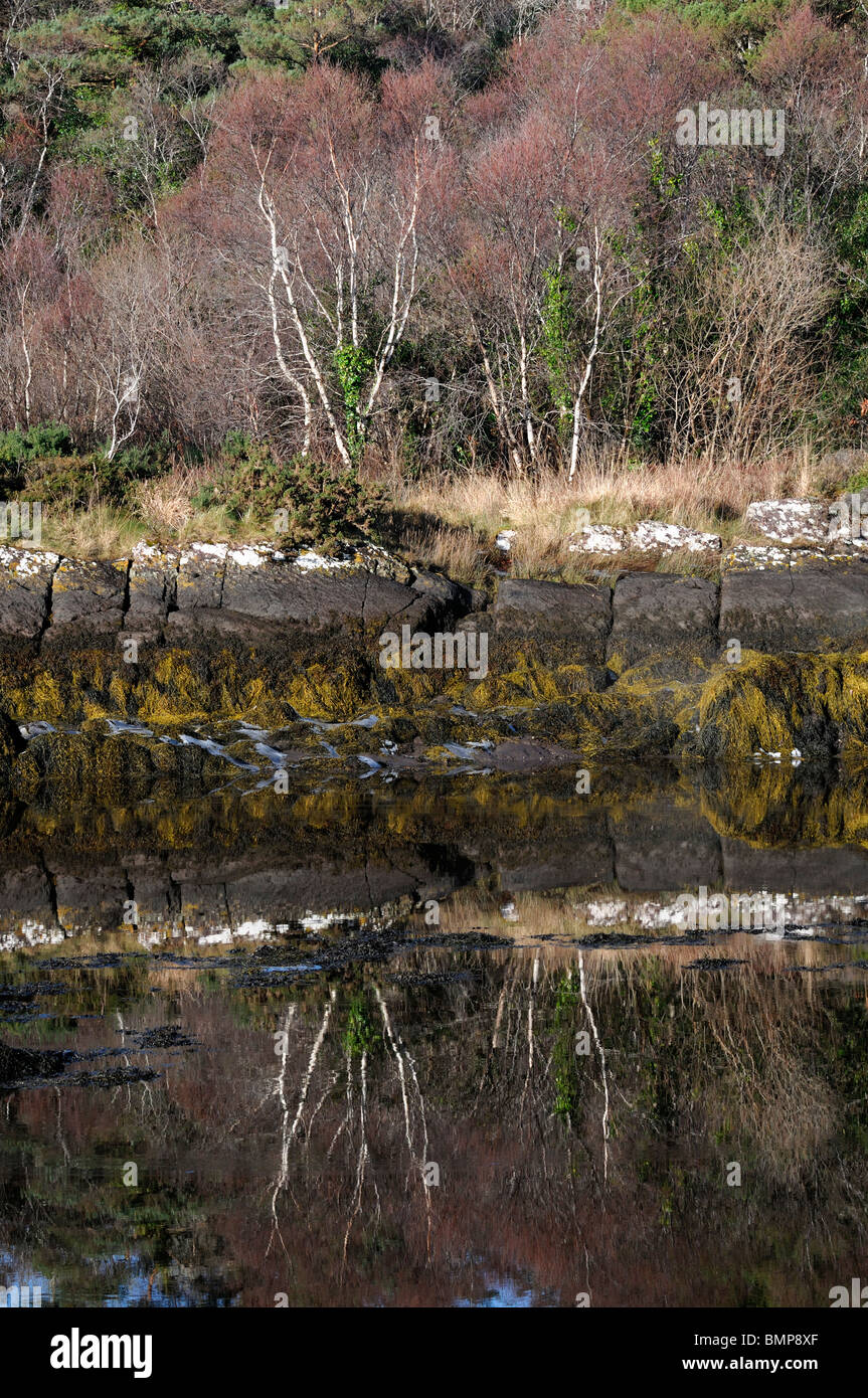 tidal mouth of the roughty river or kenmare river lough bay at ...