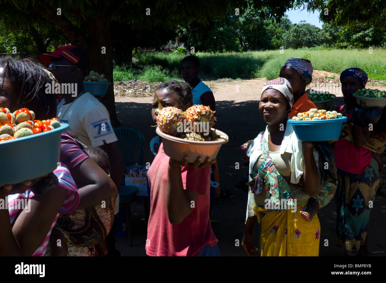 Mozambique nuts hi-res stock photography and images - Alamy