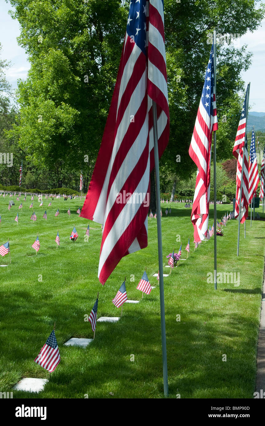 United States military memorial cemetery with flags Stock Photo - Alamy