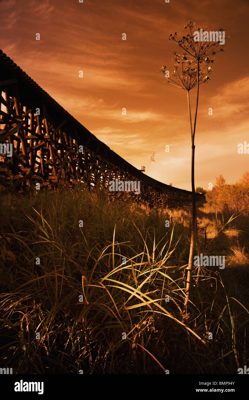 Alberta, Canada; A Train Trestle In A Sunset Stock Photo - Alamy