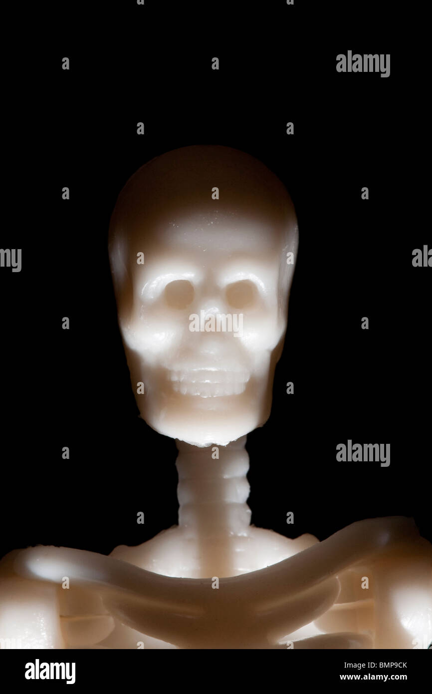 Human skeleton toy hi-res stock photography and images - Alamy