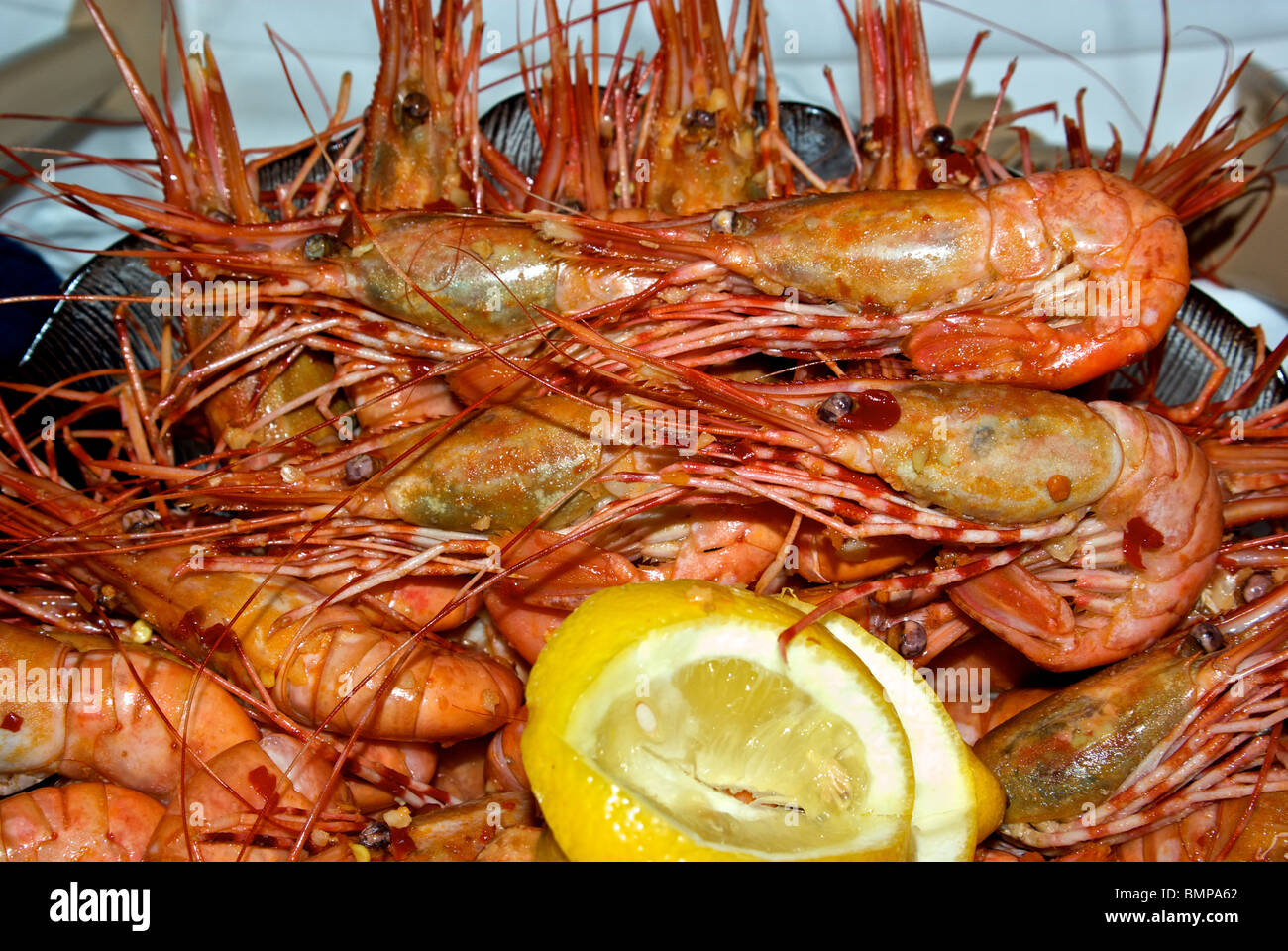 Bc spot prawns hi-res stock photography and images - Alamy