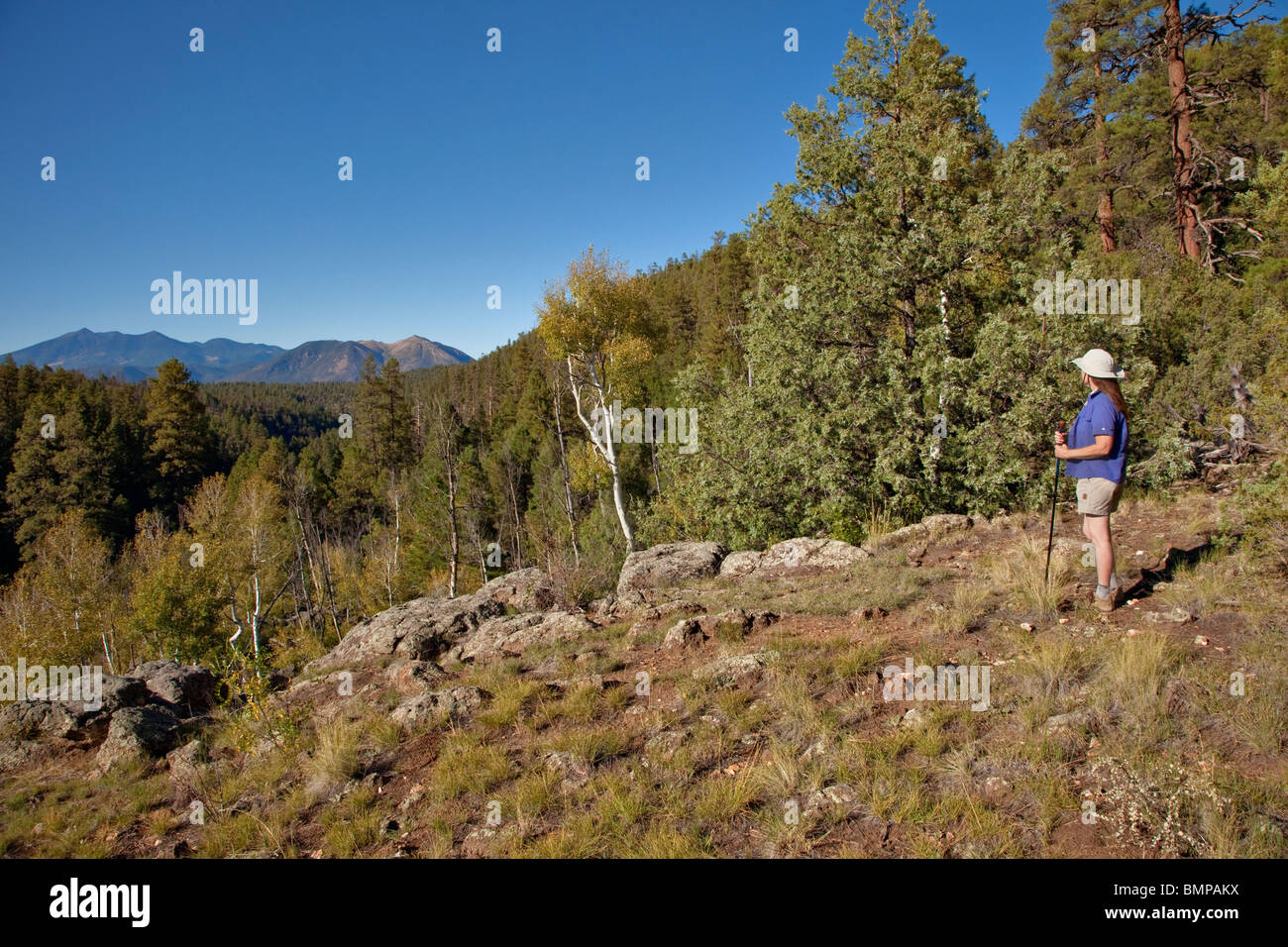 Hiker pauses along Arizona National Scenic Trail on Anderson Mesa, San ...
