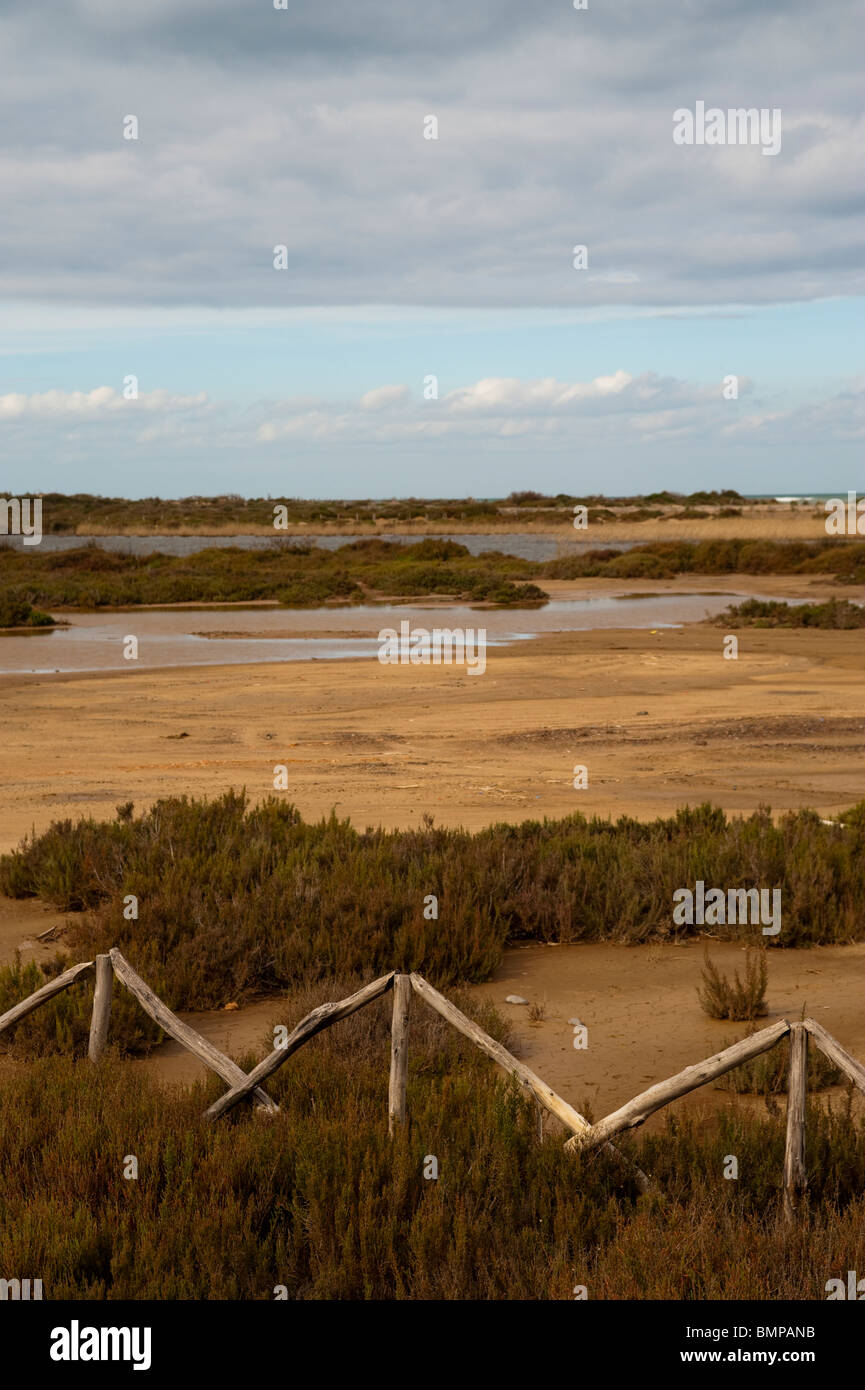 Moulouya river natural reserve, close to the resorts, Saidia, Oriental ...