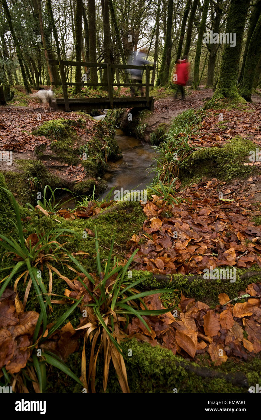 Goliath fall hi-res stock photography and images - Alamy