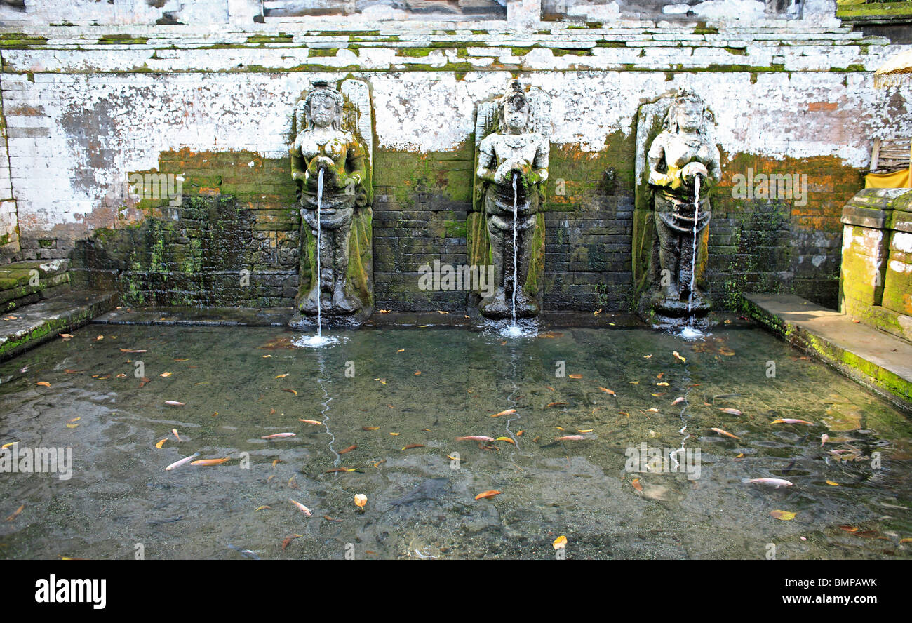 Holy bathing pools, Goa Gajah Temple, Bedulu, near Ubud, Bali ...