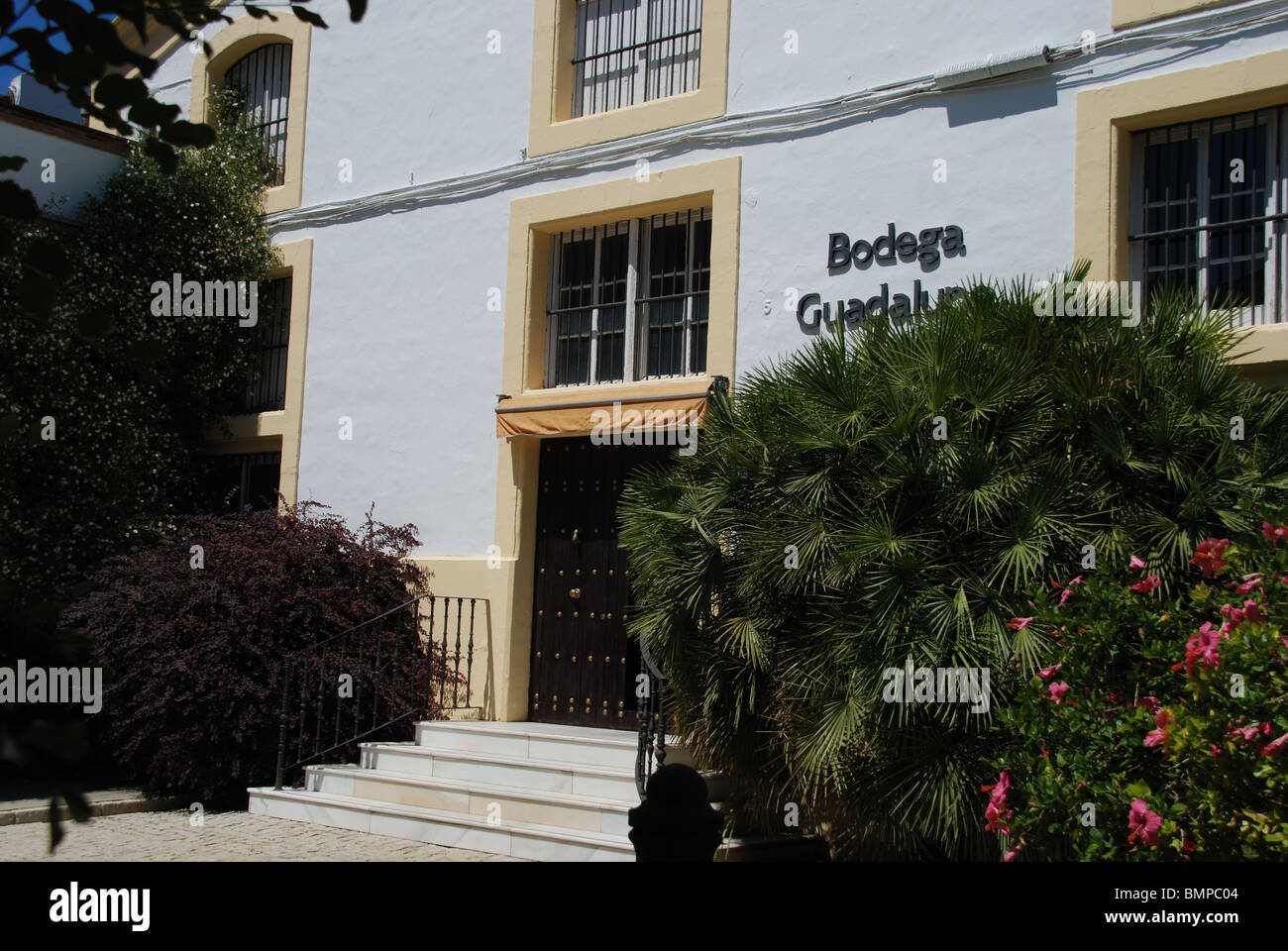 Jerez spain pedro domecq bodega hi-res stock photography and images - Alamy