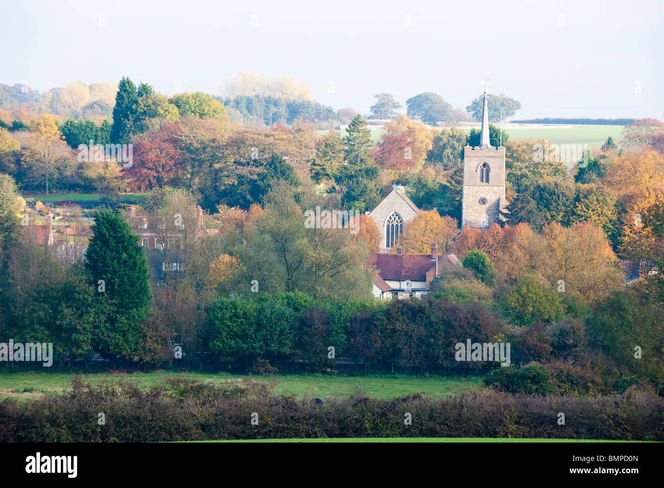 Standon in Autumn Stock Photo - Alamy