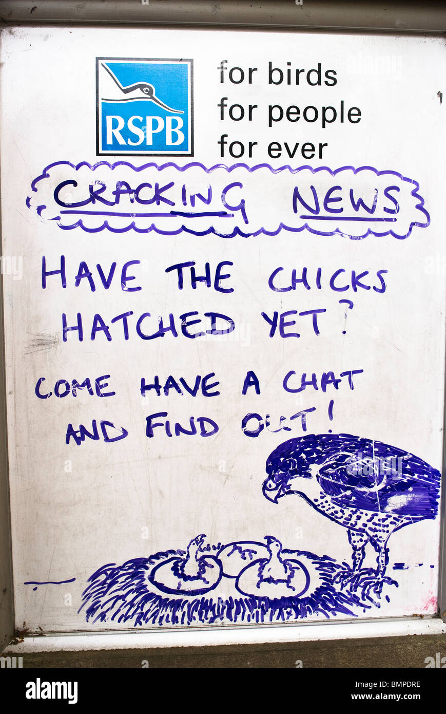 Bird nest cartoon hi-res stock photography and images - Alamy