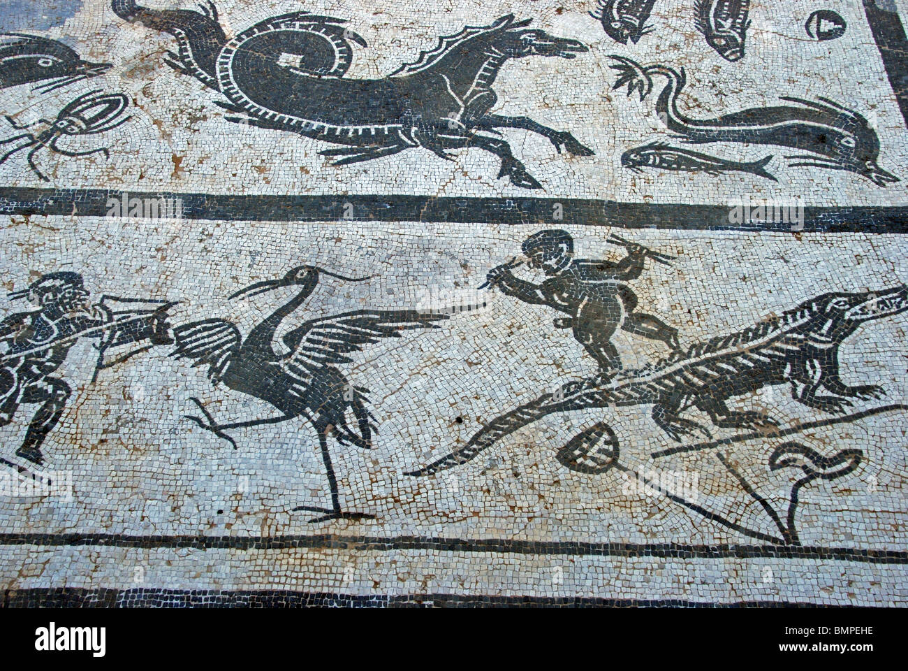 House of the neptune mosaic hi-res stock photography and images - Alamy