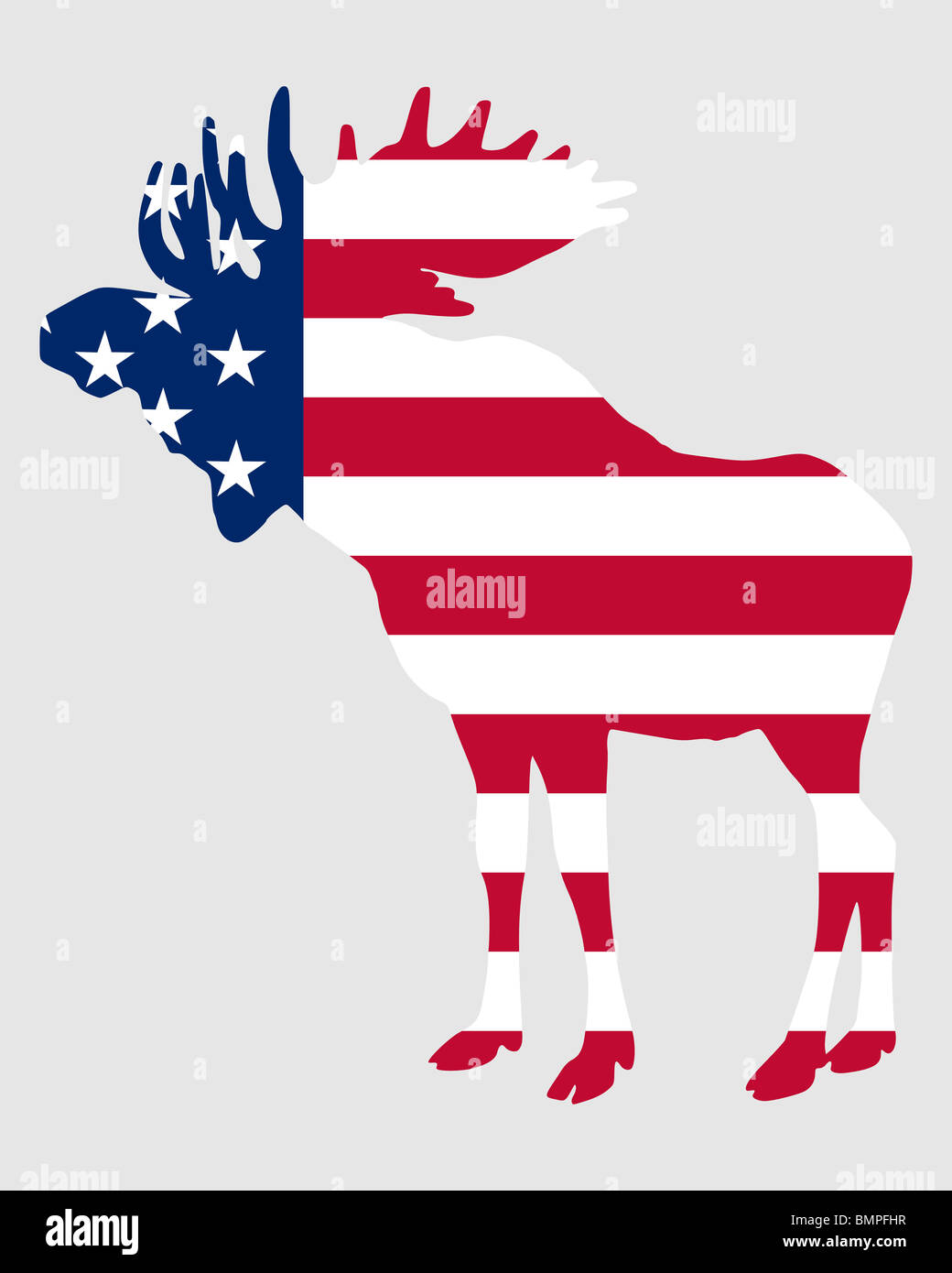 Bull Ensign High Resolution Stock Photography and Images - Alamy