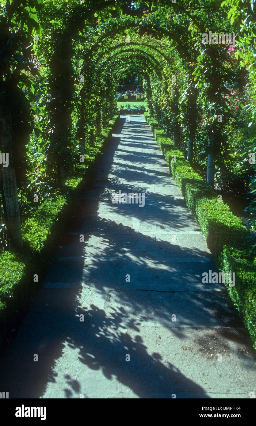 Jennie butchart hi-res stock photography and images - Alamy