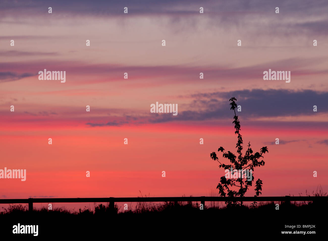 Sunset scottish borders hi-res stock photography and images - Alamy