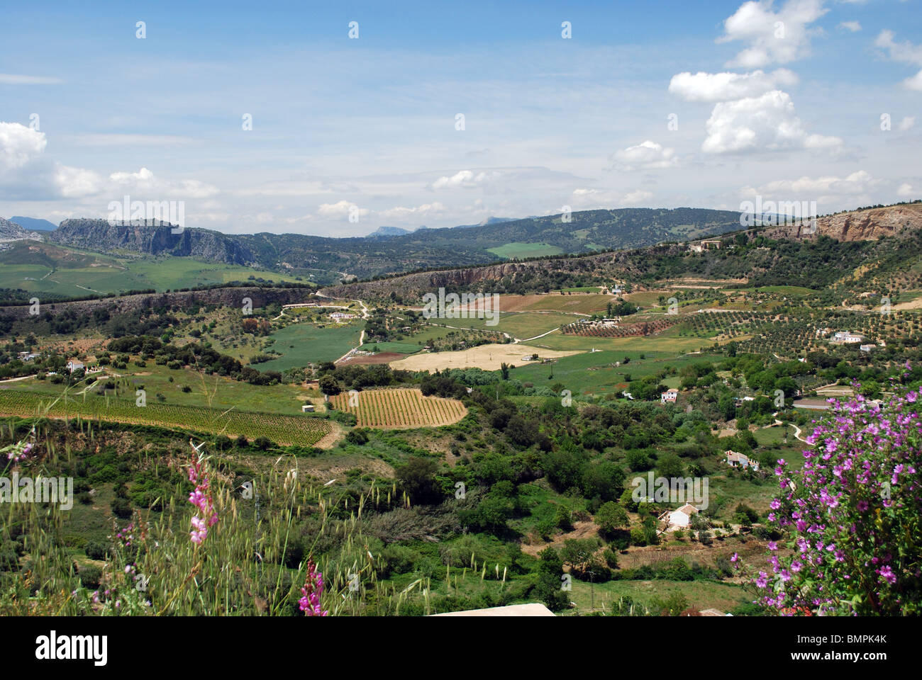 View of the surrounding countryside, Ronda, Malaga Province, Andalucia ...