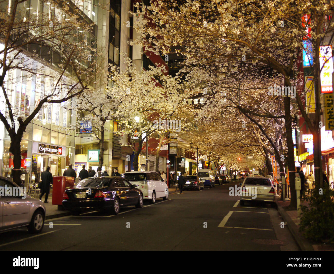 Japan, Tokyo at night Stock Photo - Alamy