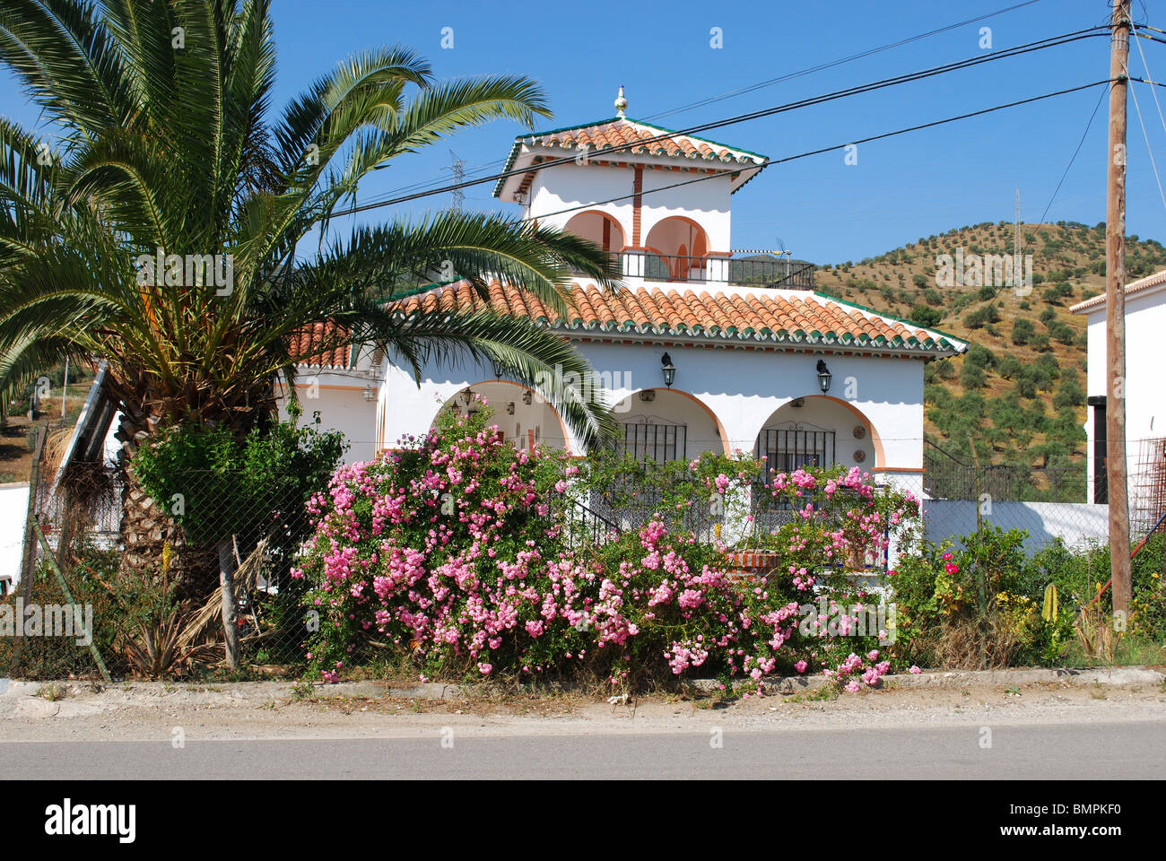 Villa palm tree hi-res stock photography and images - Alamy