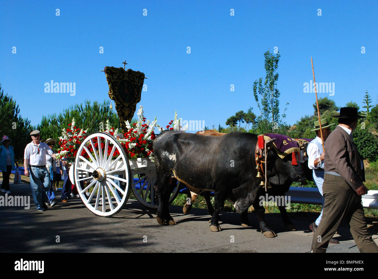 Bull cart hi-res stock photography and images - Alamy
