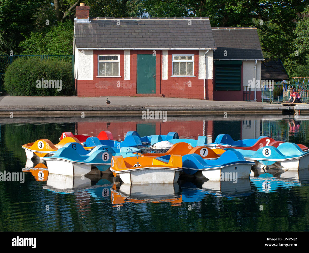 Paddle Boats at Millhouses Boating Lake, Sheffield Stock Photo - Alamy