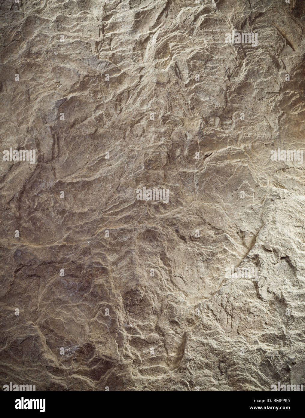 Close up of concrete slab pattern Stock Photo - Alamy