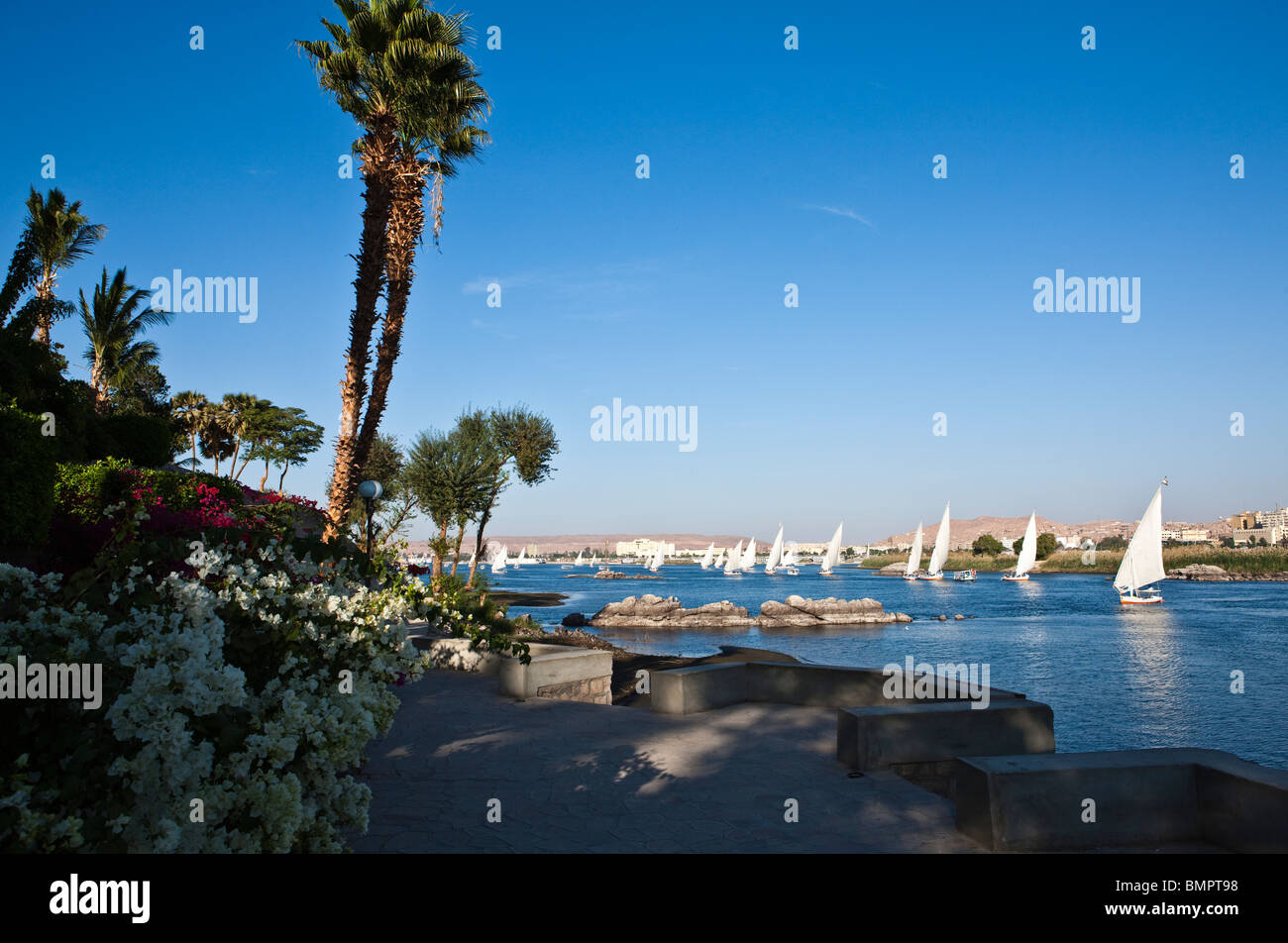 Egypt, Aswan,view on the Nile river from botanic garden Stock Photo - Alamy