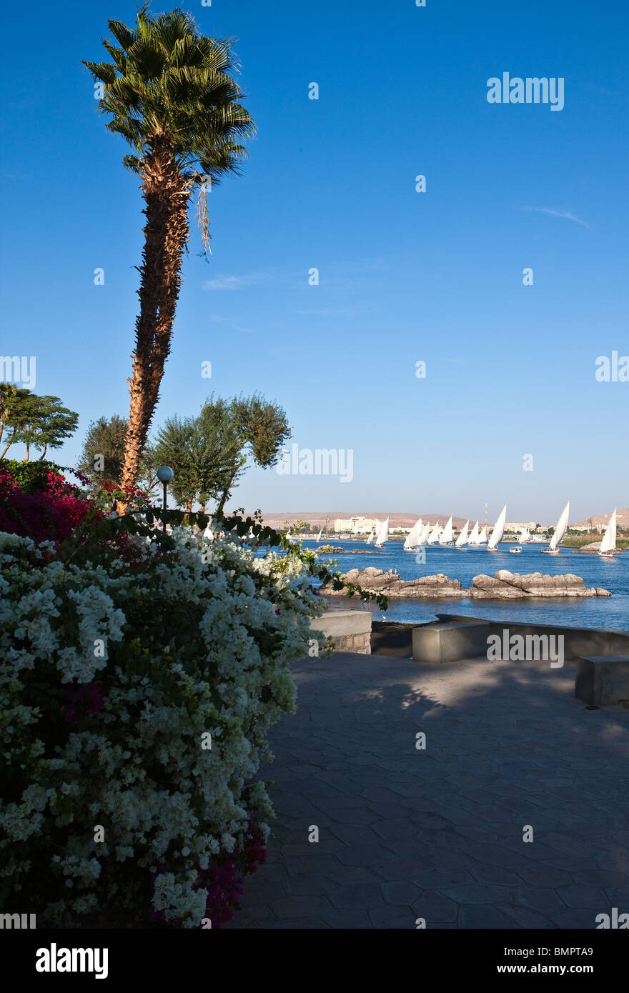 Egypt, Aswan,view on the Nile river from botanic garden Stock Photo - Alamy