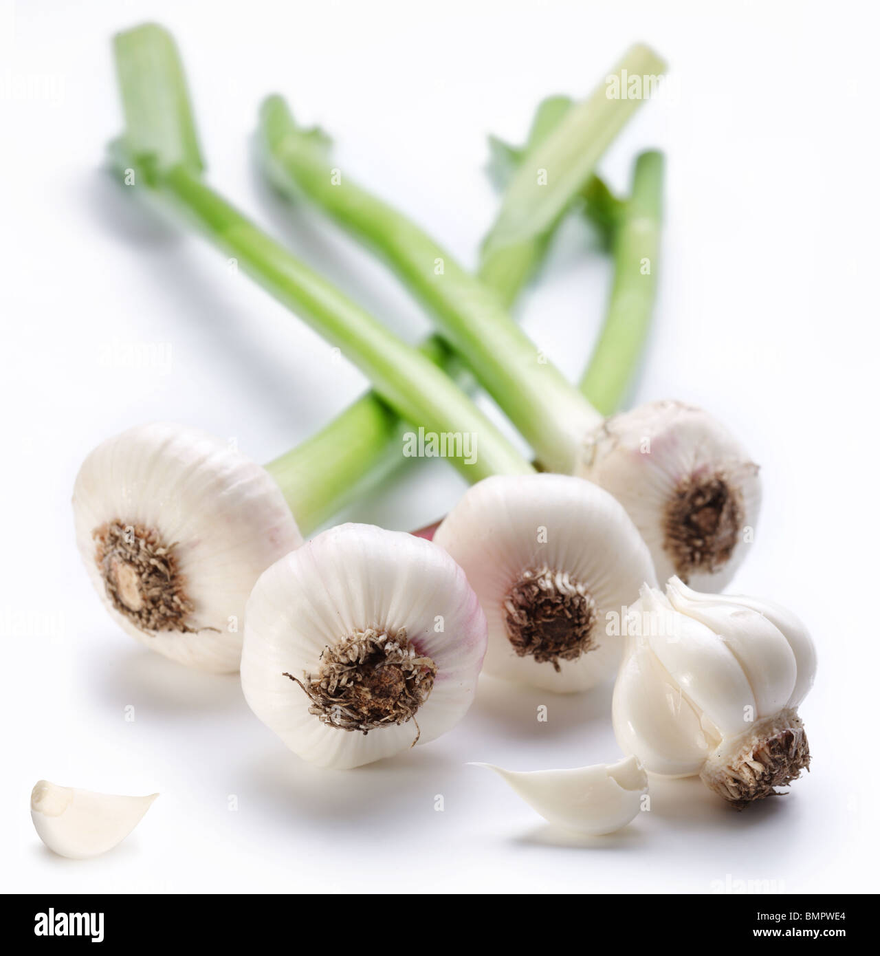 Fresh head garlic isolated Cut Out Stock Images & Pictures - Alamy