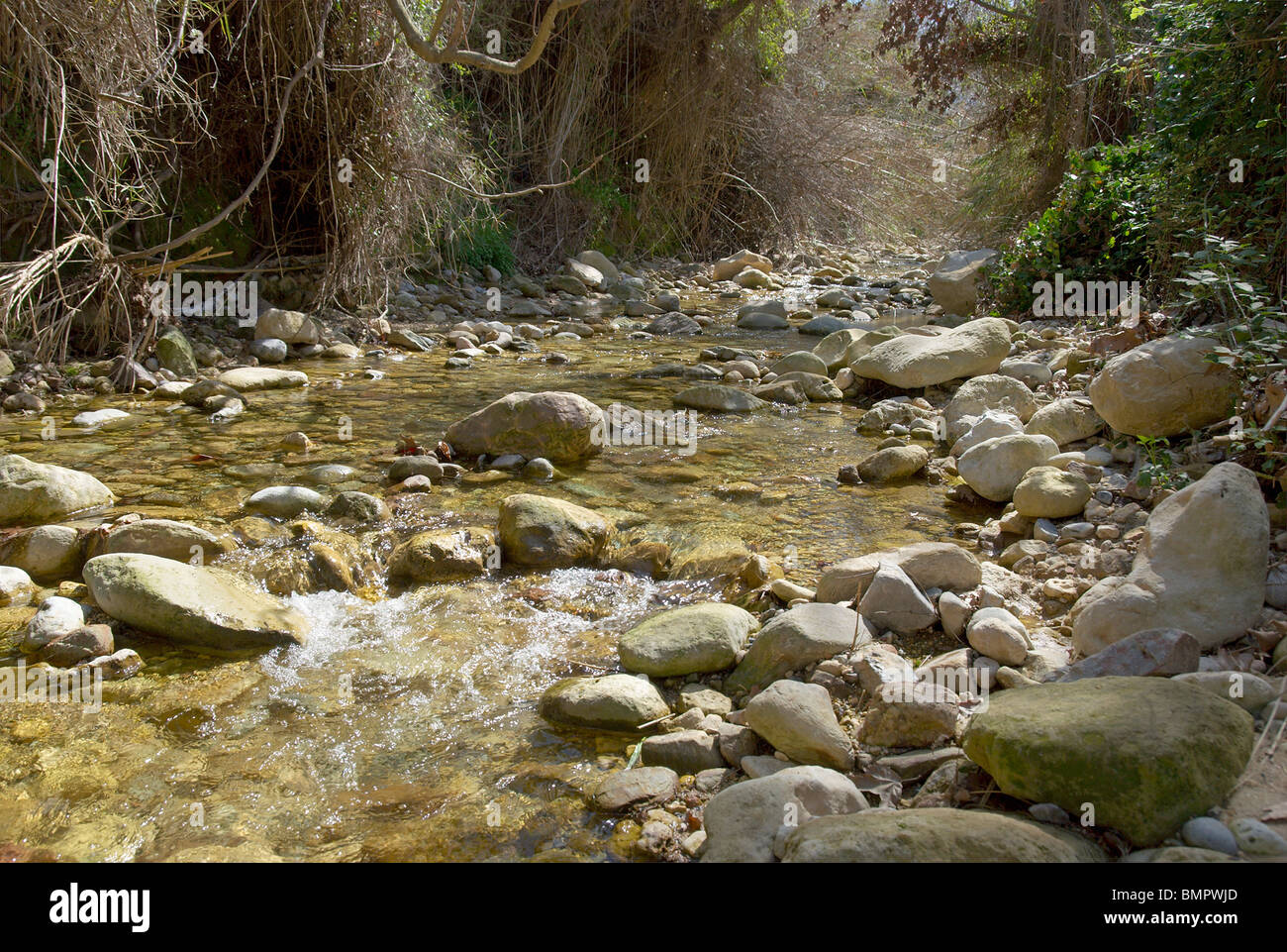 Tranquil fresh water stream Stock Photo - Alamy