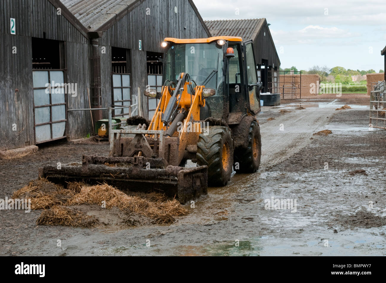 JCB, clearing slurry left by dairy cattle, Leicestershire, England ...