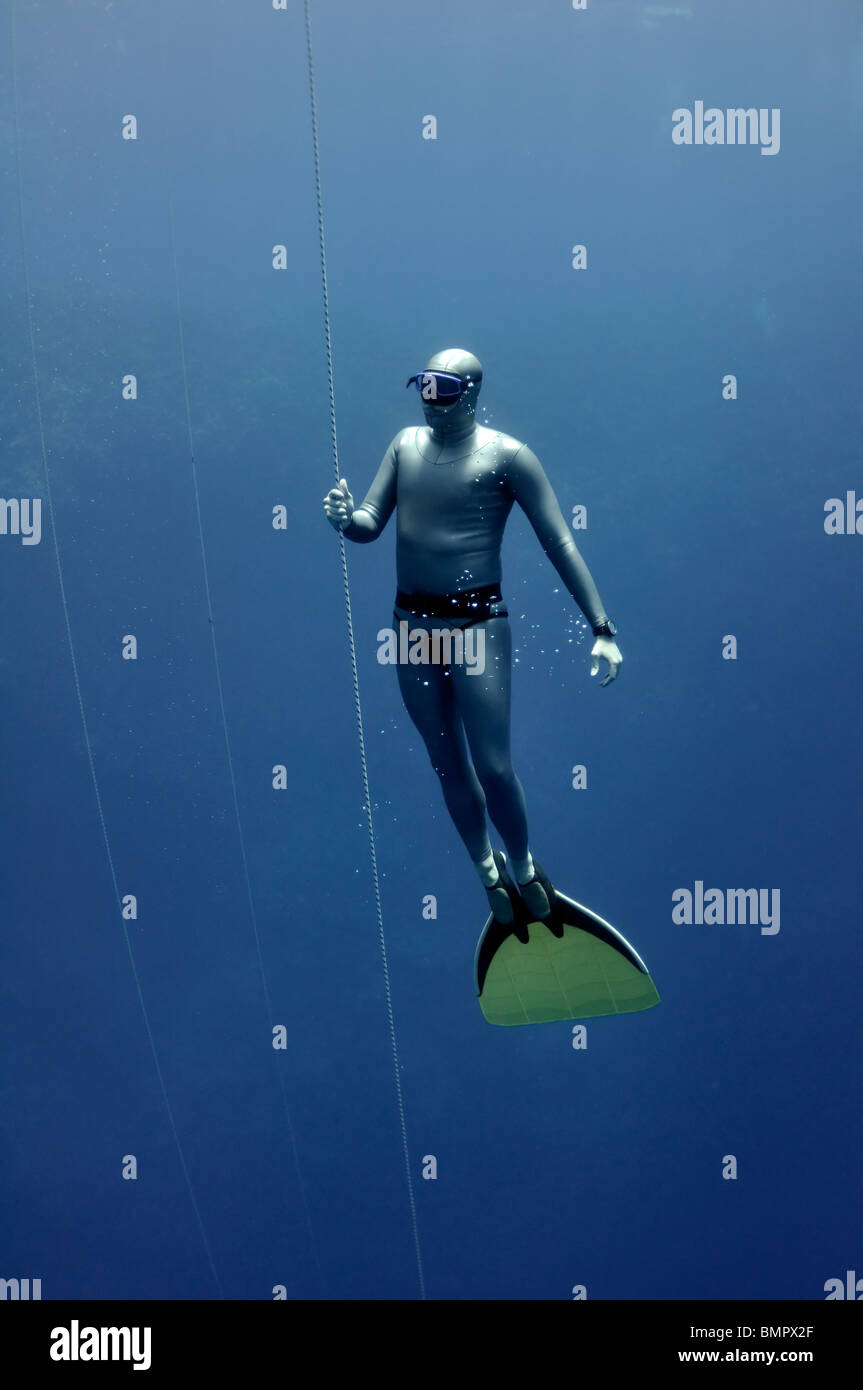 Freediver slowly raises up using the safety rope Stock Photo - Alamy