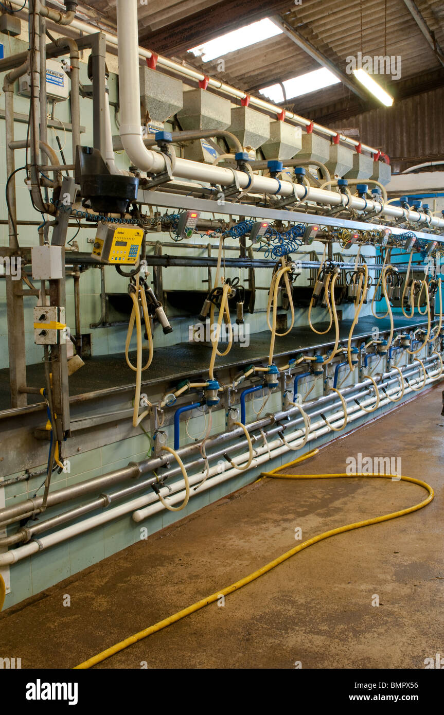 Milking stations hi-res stock photography and images - Alamy