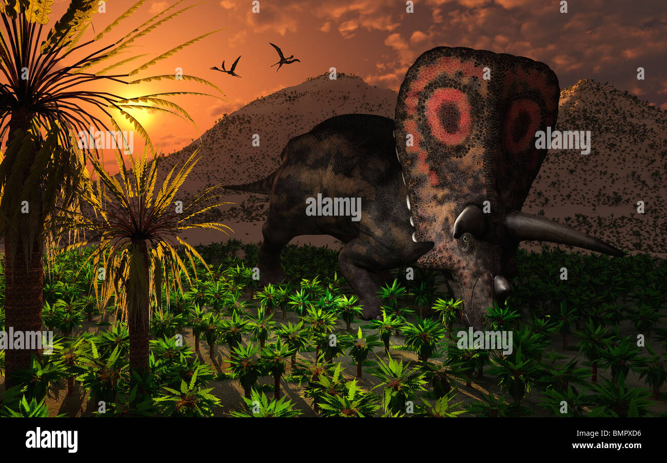 A Torosaurus Dinosaur Stock Photo - Alamy