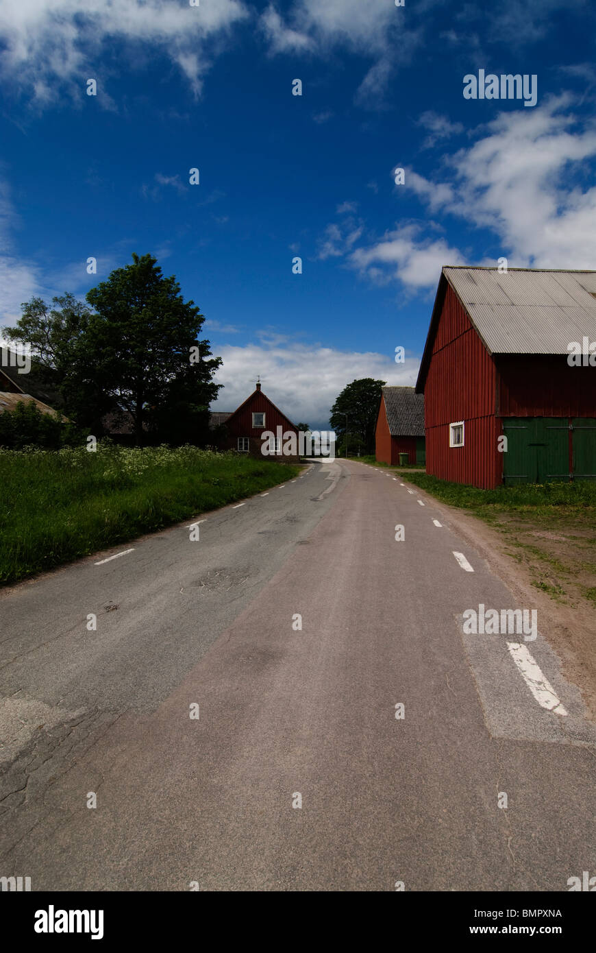 A small road in the countryside in southern Sweden Stock Photo - Alamy