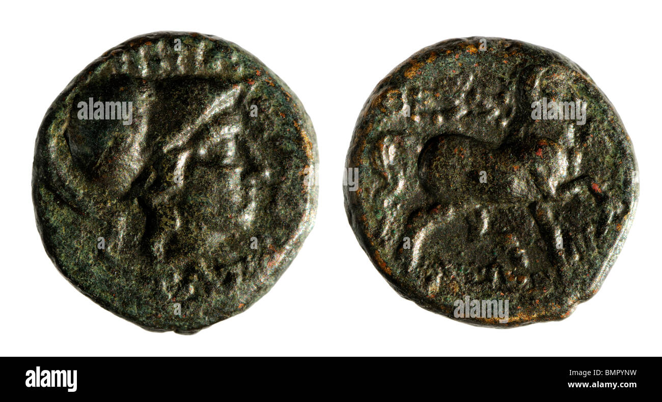 Thessalian horse hi-res stock photography and images - Alamy