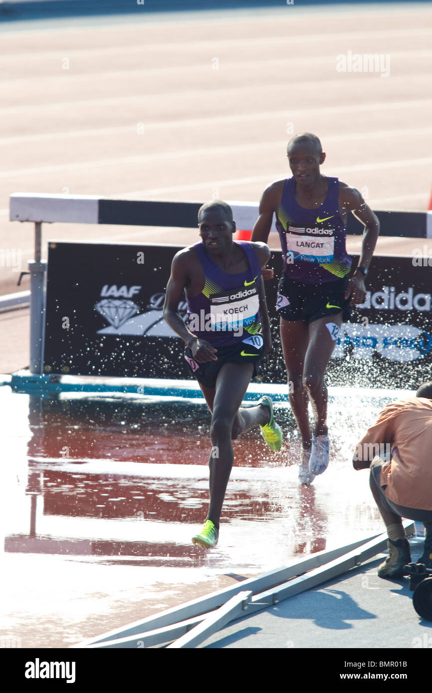 3000 steeplechase hi-res stock photography and images - Alamy